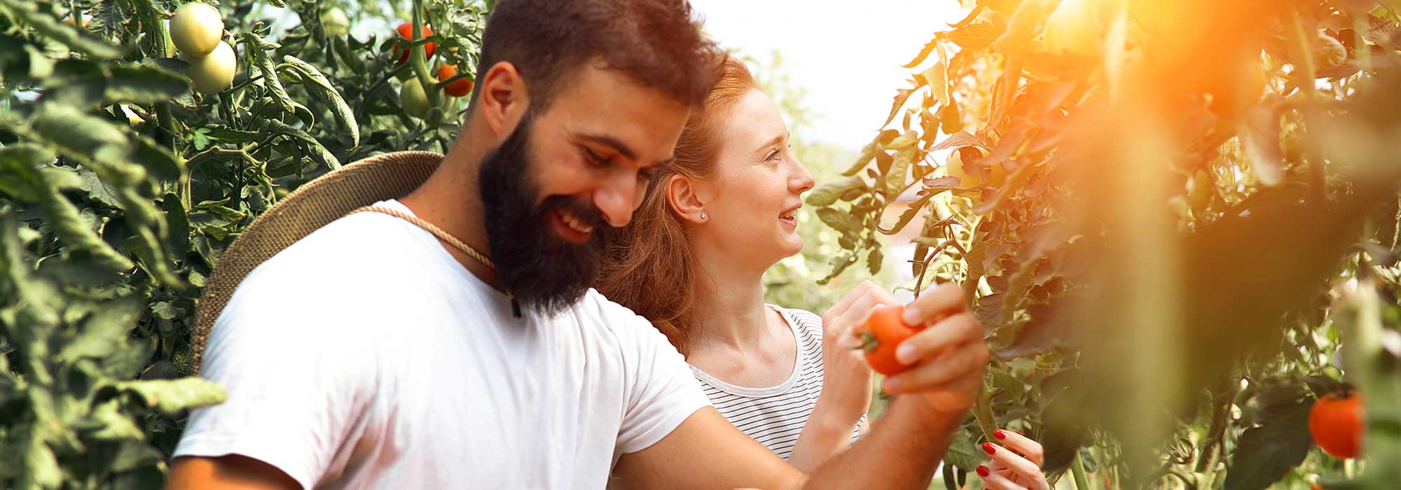 Acasă - Bio România